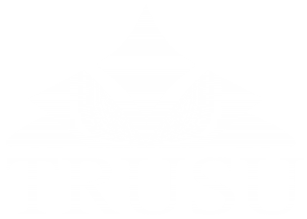 ACSA's Vision Board Night » TRUSU